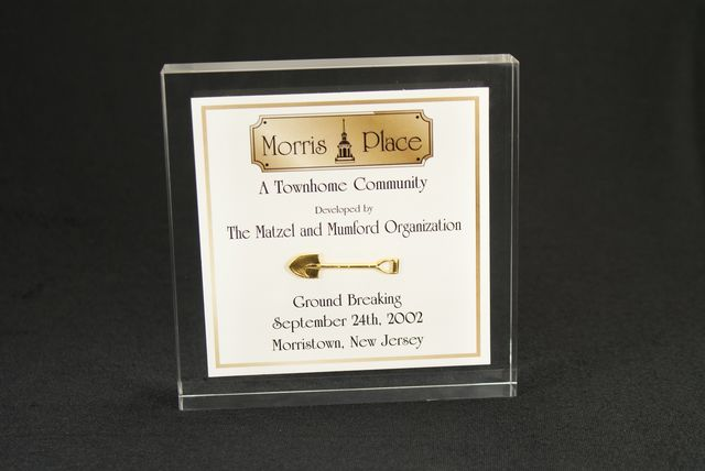 Acrylic Embedments - Clear Image Embedments